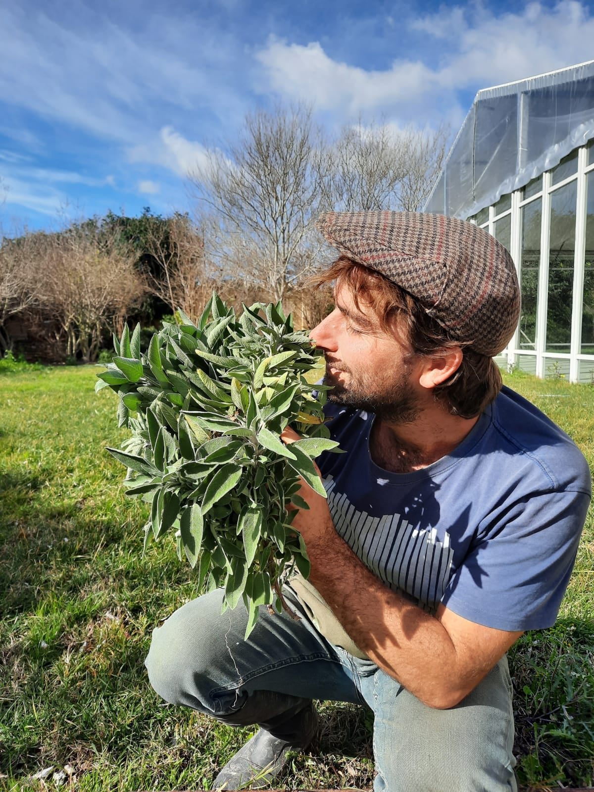 Innovation and Sustainability at The Xara Collection - The Xara Palace