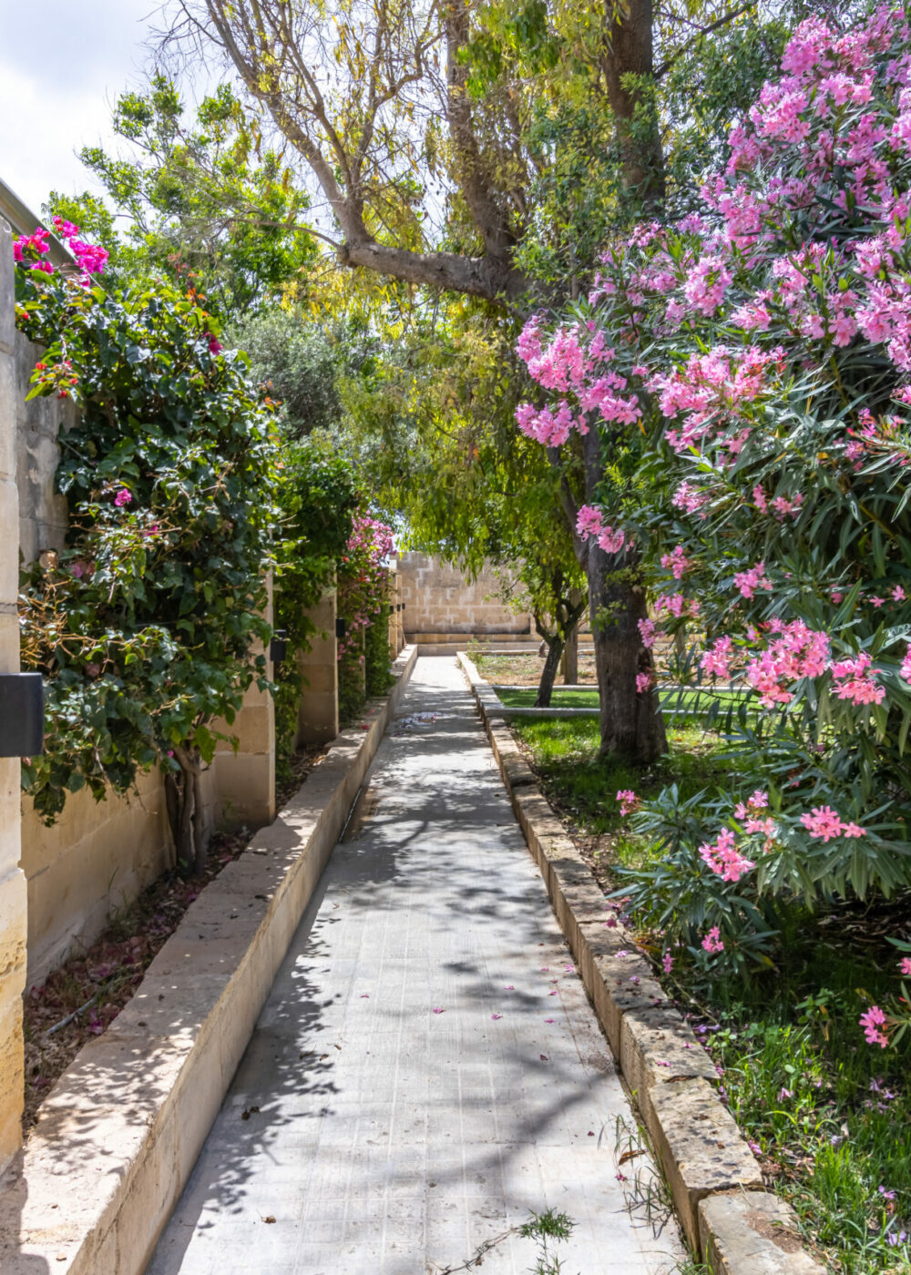 Xara Residences - The Xara Palace